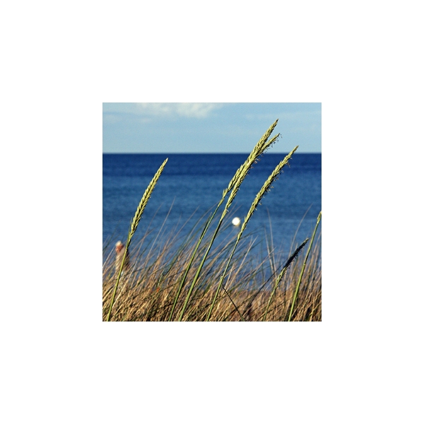 色闪影视文化传媒 