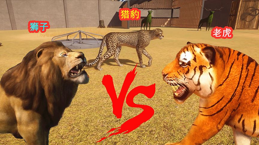 动物模拟器:老虎和狮子还有猎豹,谁是最厉害的呢?