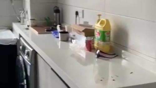 这是谁想出来的装修设计,洗衣机放在了厨房里,想象力可真丰富