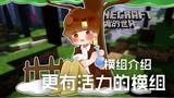 我的世界Minecraft《籽岷的模组介绍 更有活力的模组》