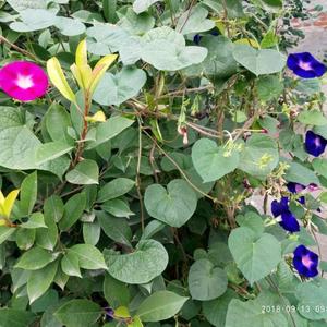 定格记忆里的风景 