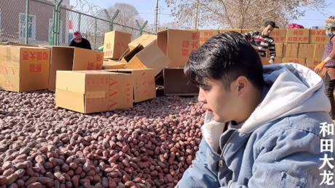 和田大枣这种枣都在新疆自销了!为什么不流往内地,跟大龙看究竟