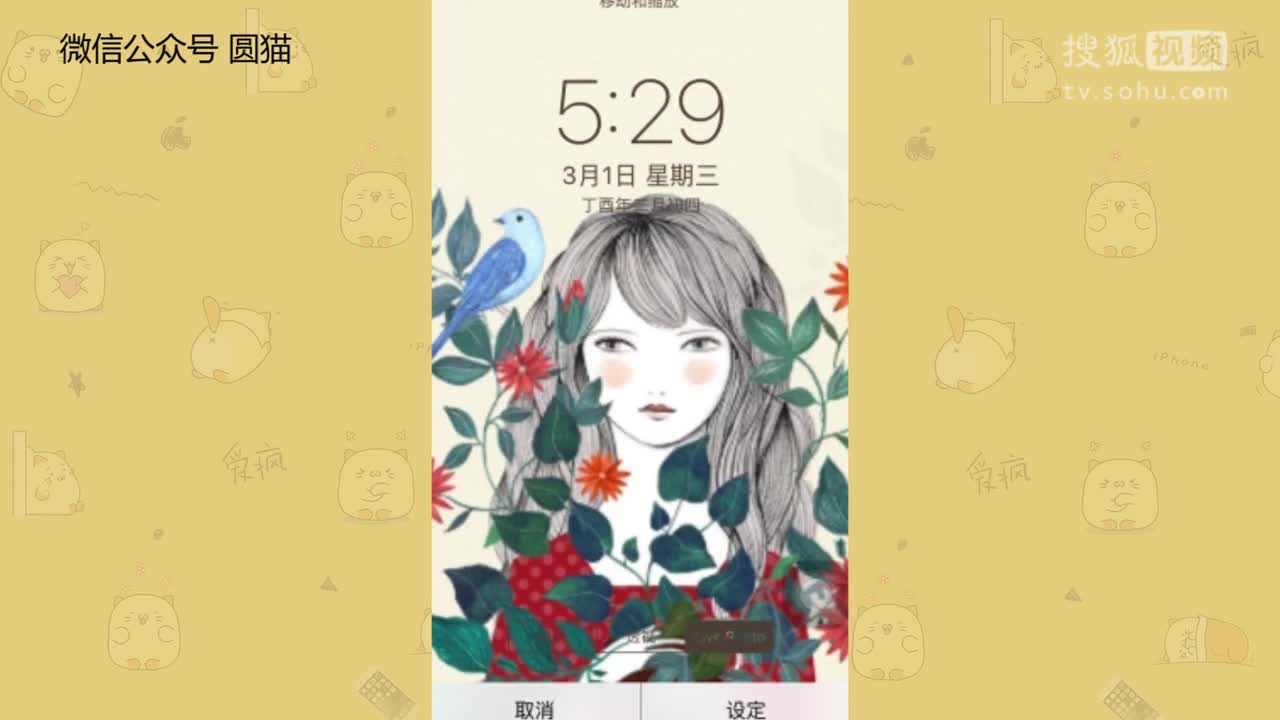 动态壁纸也能自己做!任何视频图片都可以!这个App好厉害~