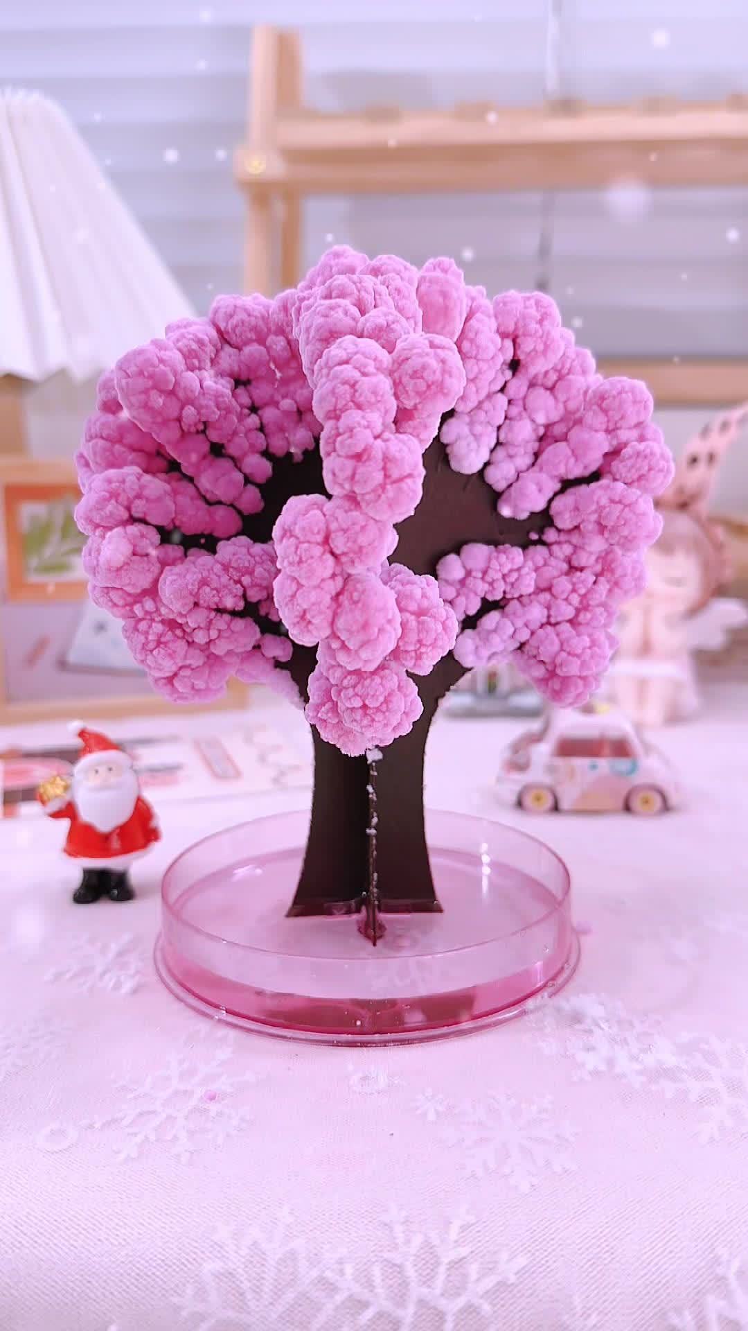 花几块给孩子种一颗樱花是什么体现?过程期待又神奇,也太好看了吧,快给你家宝贝安排上