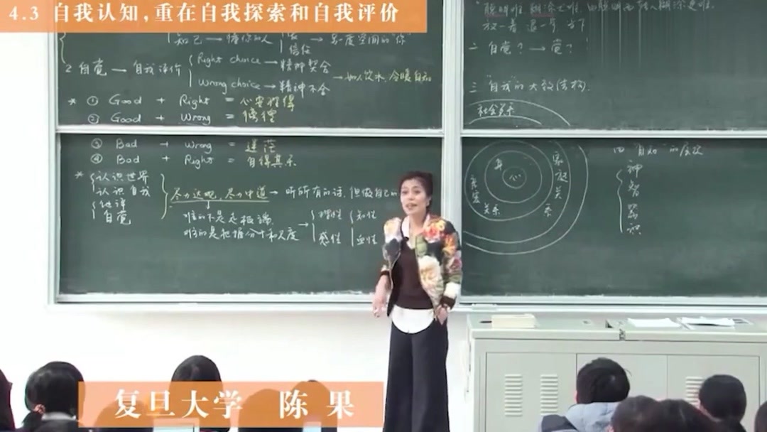网红复旦陈果:手机对我们生活的影响有多大?