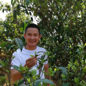 云南灏源堂茶业 
