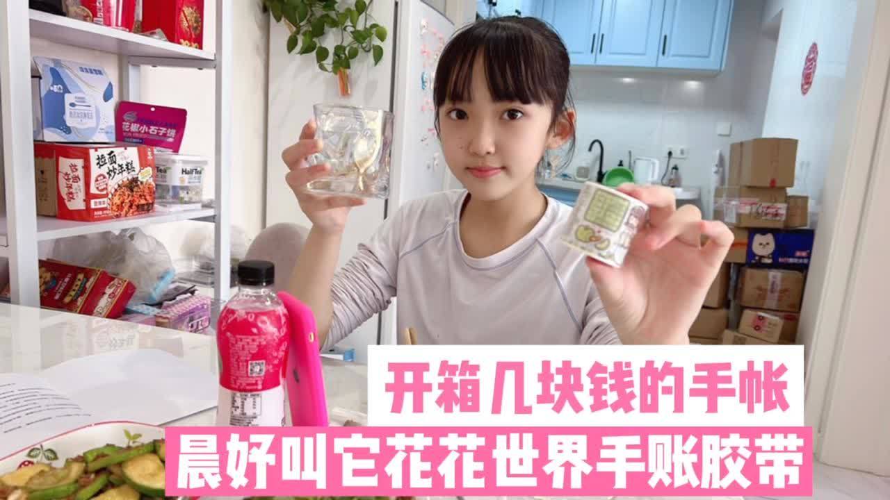 晨妤开箱几块钱的手帐,还是绿色的,晨妤叫它花花世界手帐胶带