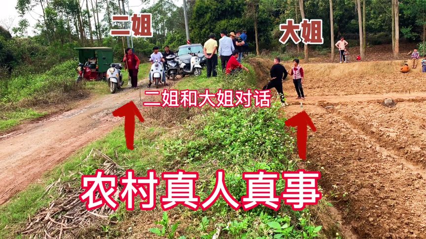广西农村两姐妹,因土地面积使用权相差20公分,最后没想到会这样