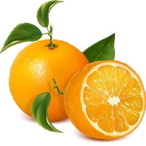 orange_31 
