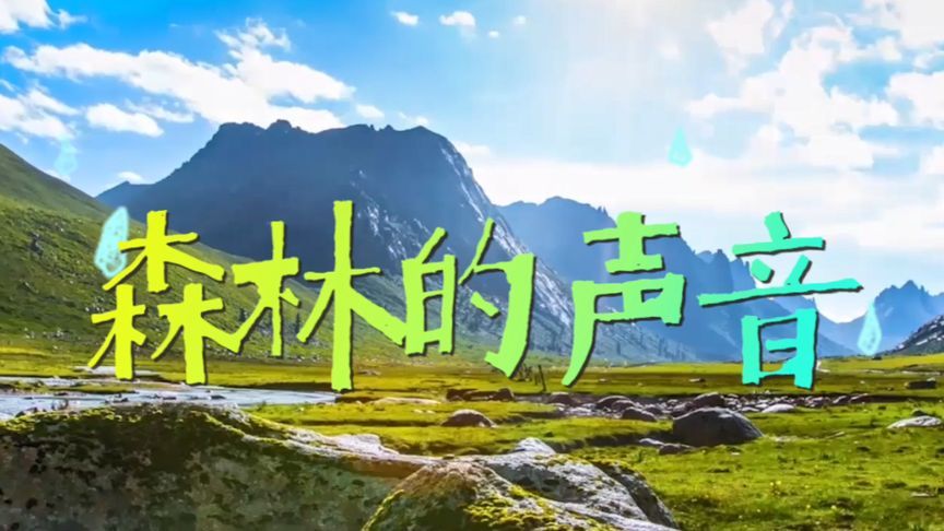 裸眼3D|国际森林日,让我们倾听它们的声音