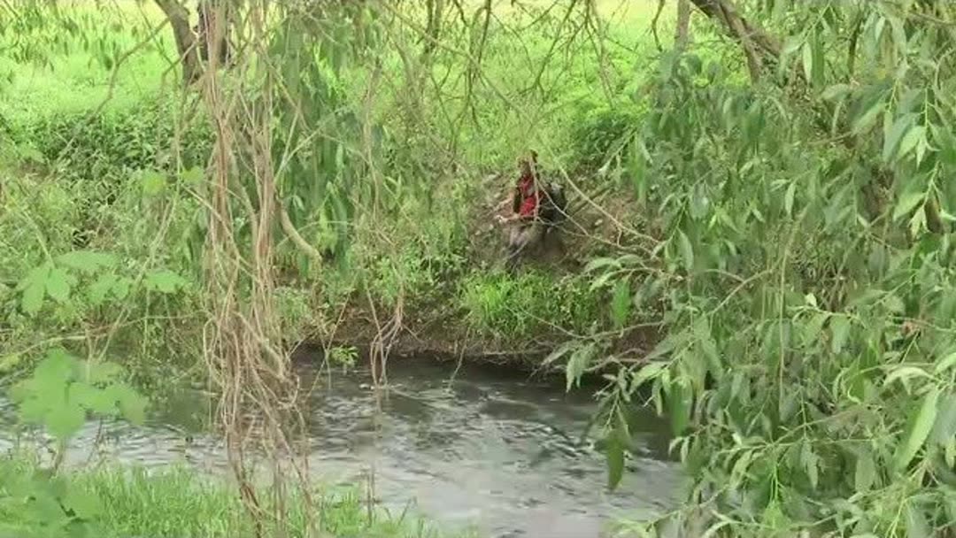 钓鱼时浮标老是上下浮沉可是提起来鱼没有钓到怎么回事