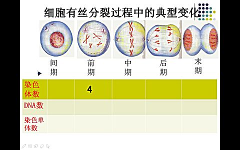 1-6水考复习9 细胞的生命历程-微课视频