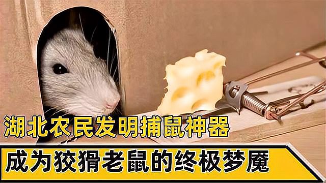 湖北怪老头发明捕鼠神器,红外触控双绳套索,一夜捕捉90只老鼠