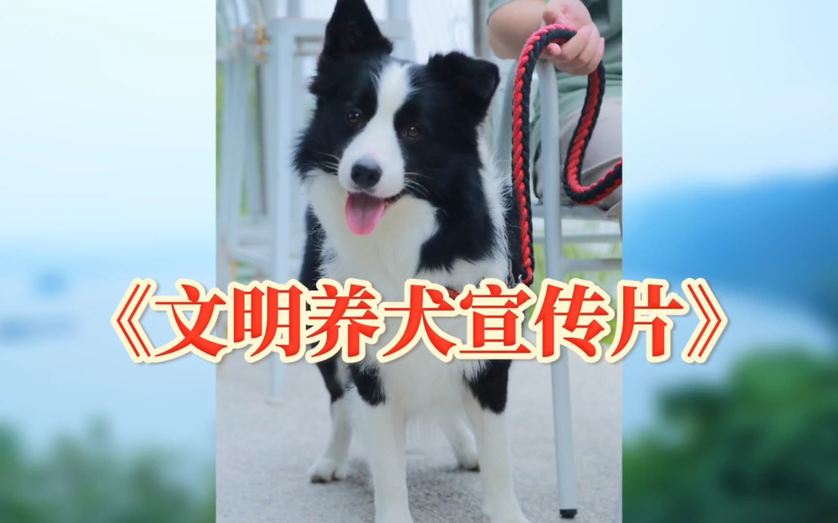 全网小狗都在接受安全教育 但是应该接受教育的不应该是部分不文明...