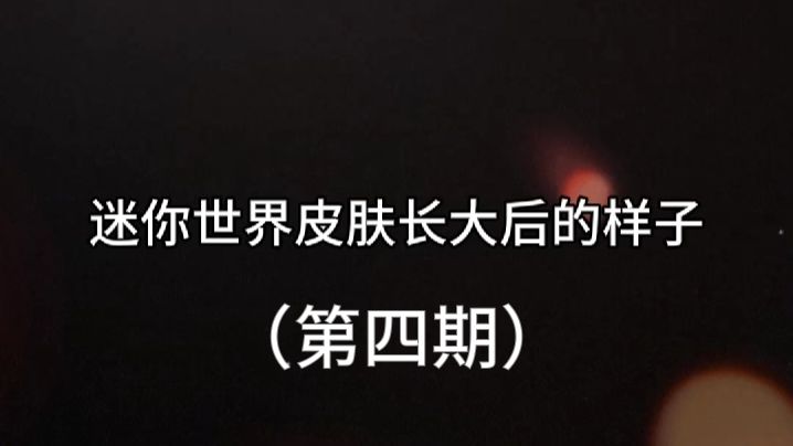 迷你世界皮肤长大后的样子(第四期)