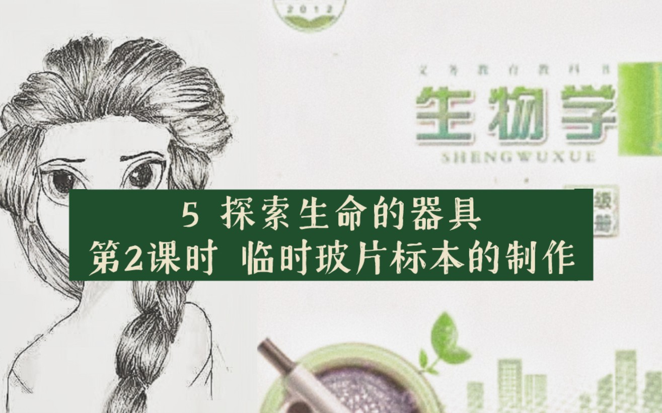 其他常用的探究器具和临时玻片标本的制作/初中生物/七年级/苏教版/...