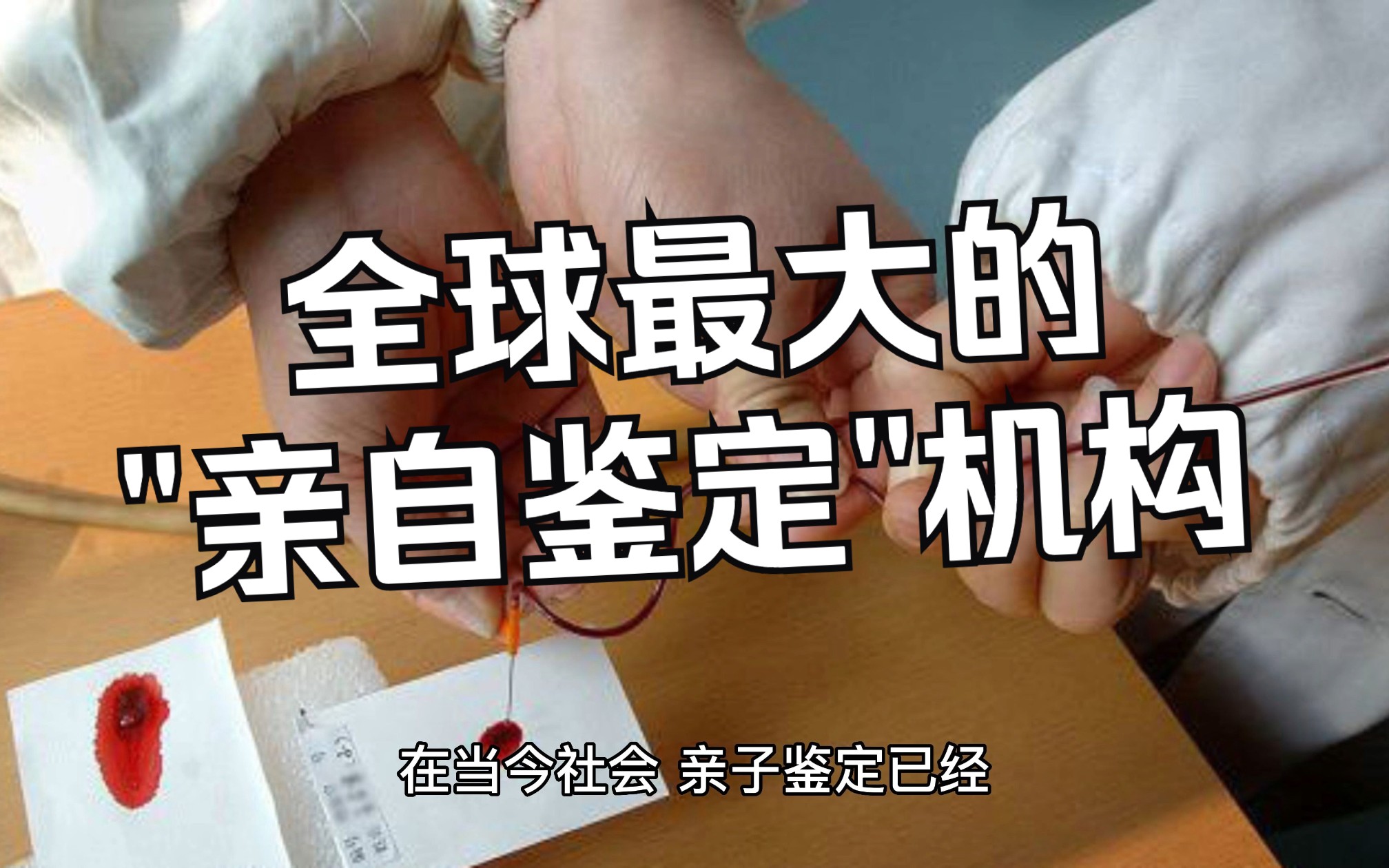 全球最大的“亲子鉴定”机构