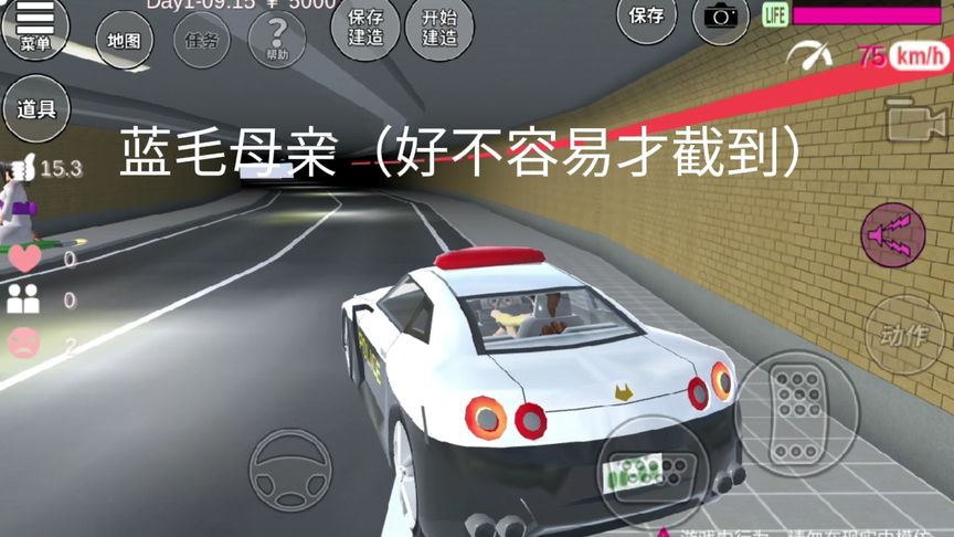 樱花校园模拟器:蓝毛的母亲,好不容易才截的,这是最好的效果了