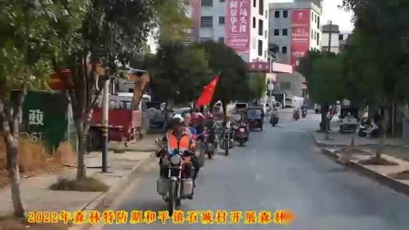 桂阳县和平镇石城村森林防火义务宣传小分队开展森林防灭火宣传工作。