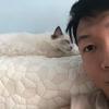 艾丽家的猫 