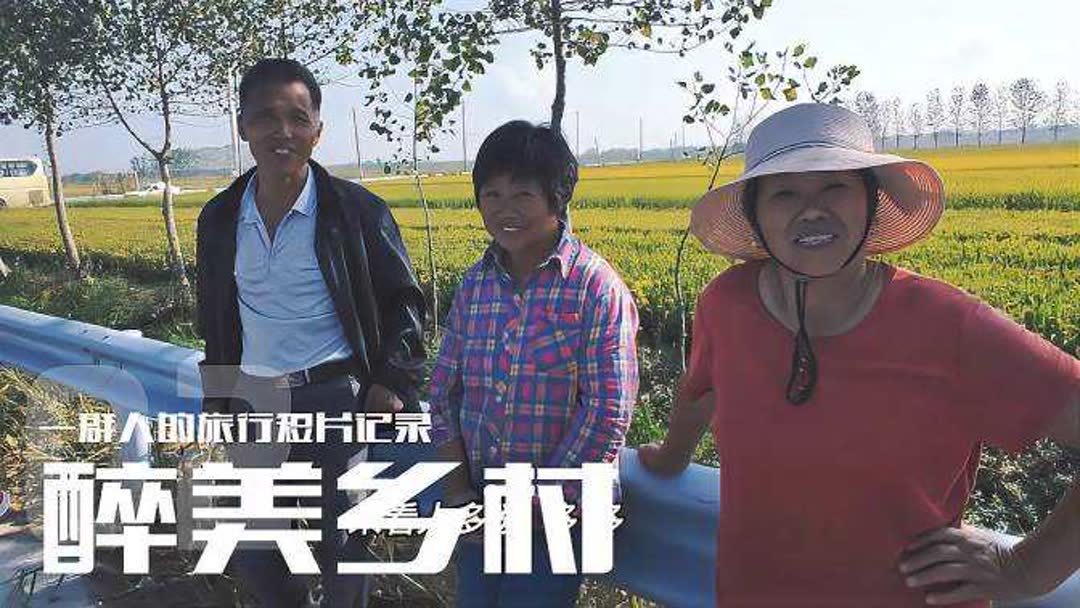 淮阴农民巧栽五彩稻田画,吸引成千上万城里人下农村,看金秋美景