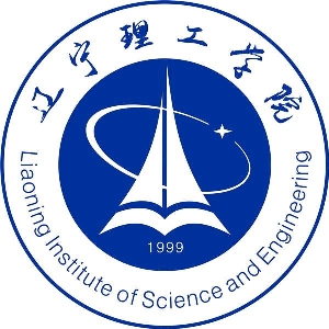 影视艺术v国际航空 