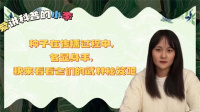 种子在传播过程中,各显身手,快来看看它们的武林秘笈吧