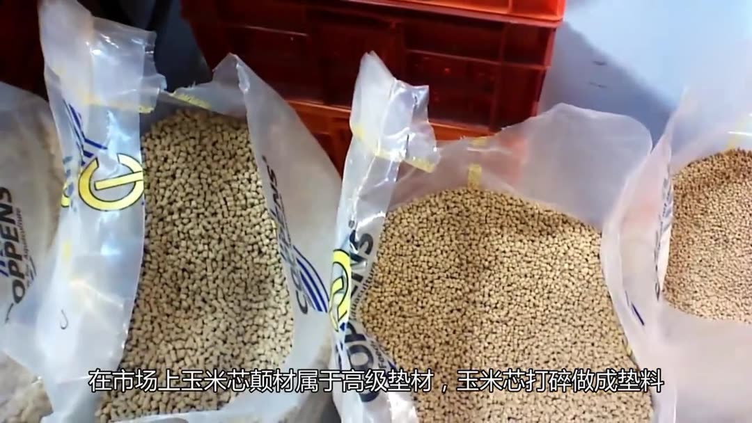玉米芯不要扔,它还有很多神奇的妙用,快收藏起来吧!