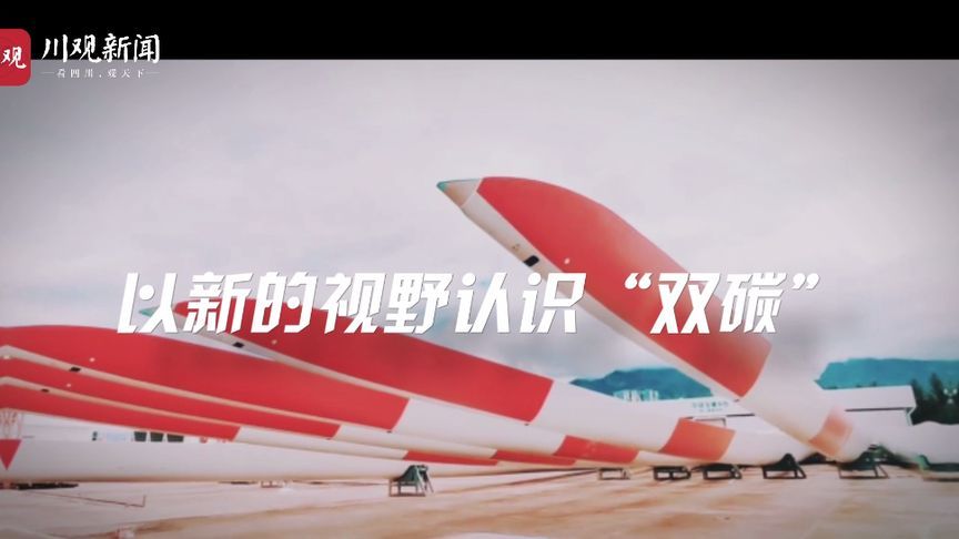 为这个重要"决定",我们十问双碳