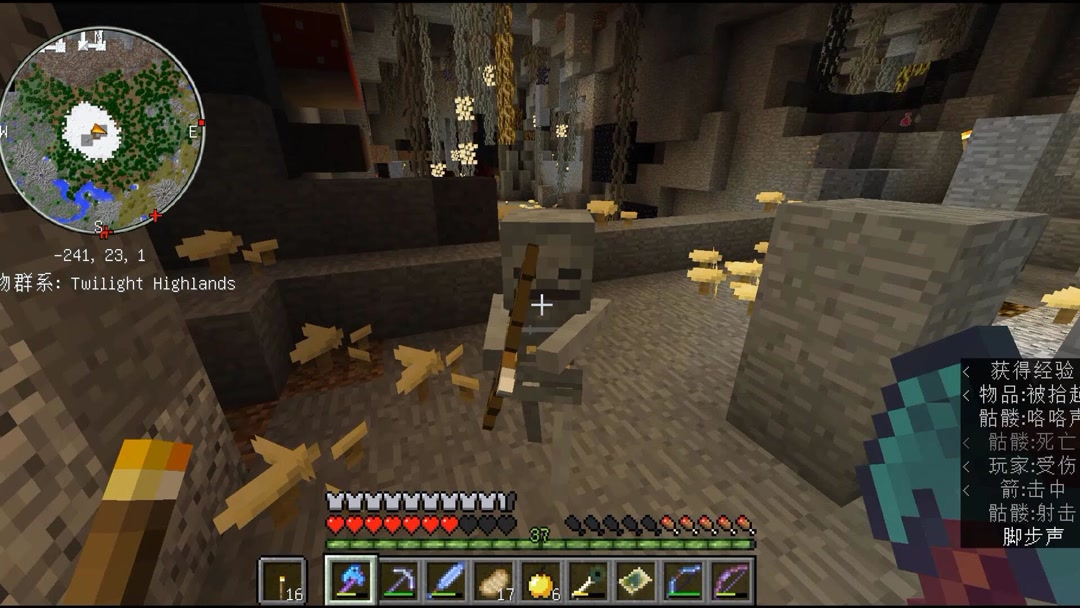 我的世界 探秘巨魔洞穴,一不小心就会被骷髅扎成刺猬