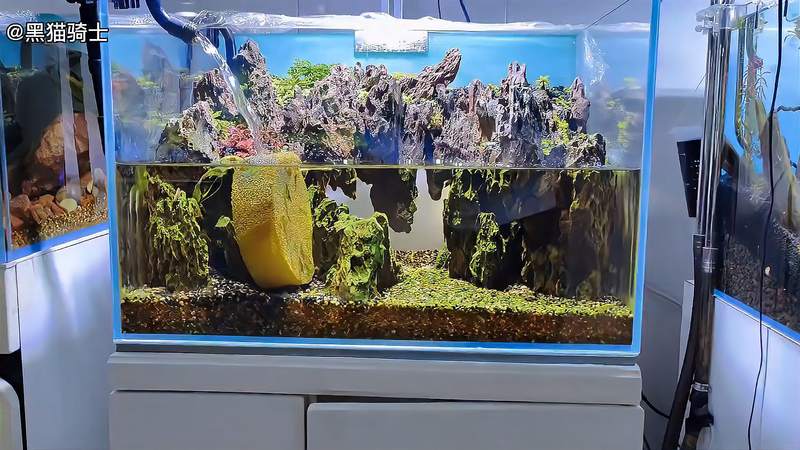 悬浮草缸造景,终于迎来了后续!底砂过滤系统!