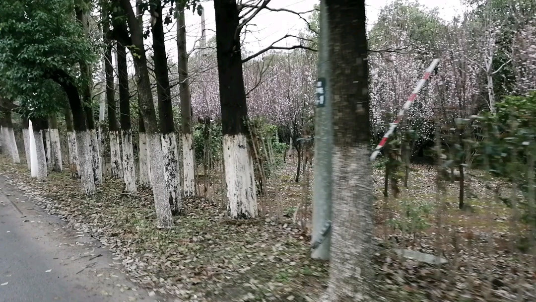 去无锡滨湖区胡埭镇购物