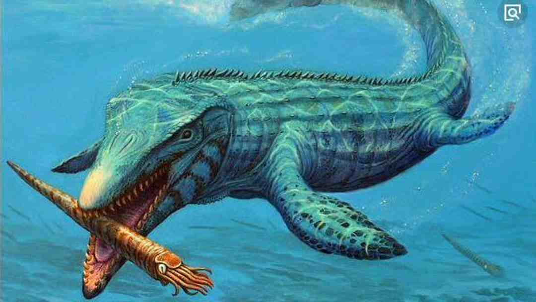 海底大猎杀大鱼吃小鱼小鱼吃虾米游戏1期