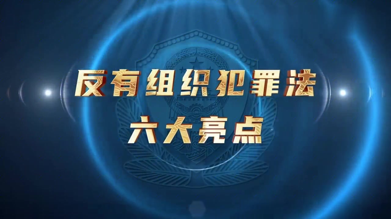 《中华人民共和国反有组织犯罪法》...