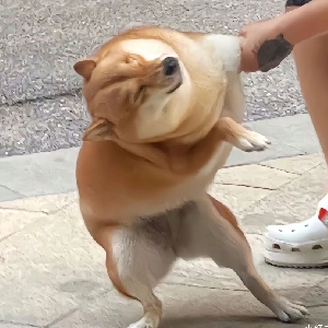 职场不迷路 