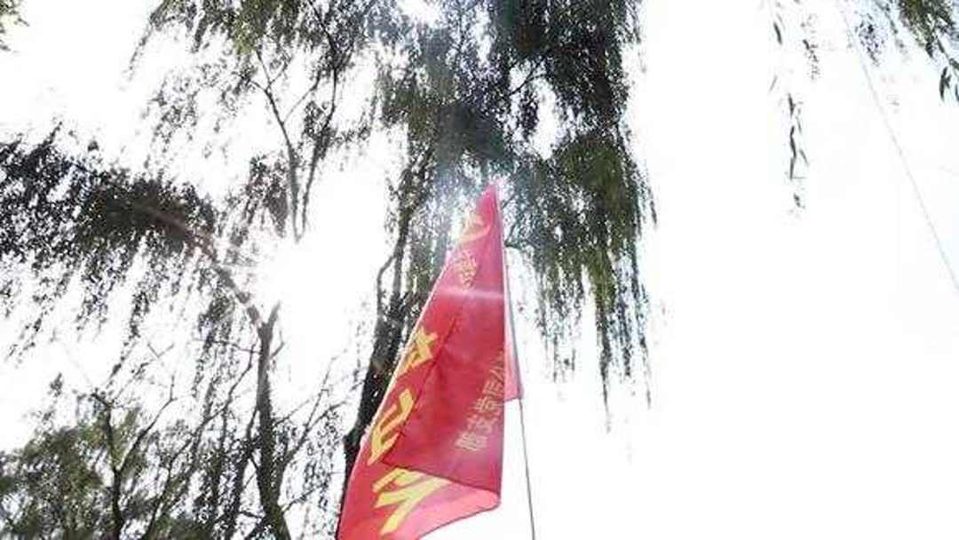 #主题党日开展义务劳动、彰显党员风采 #红川酒