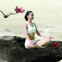 丫丫杂货铺 