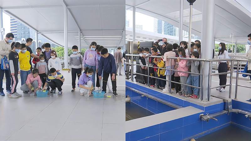 “水从哪里来?”趣味实验带孩子们进入水世界,探秘水的旅程