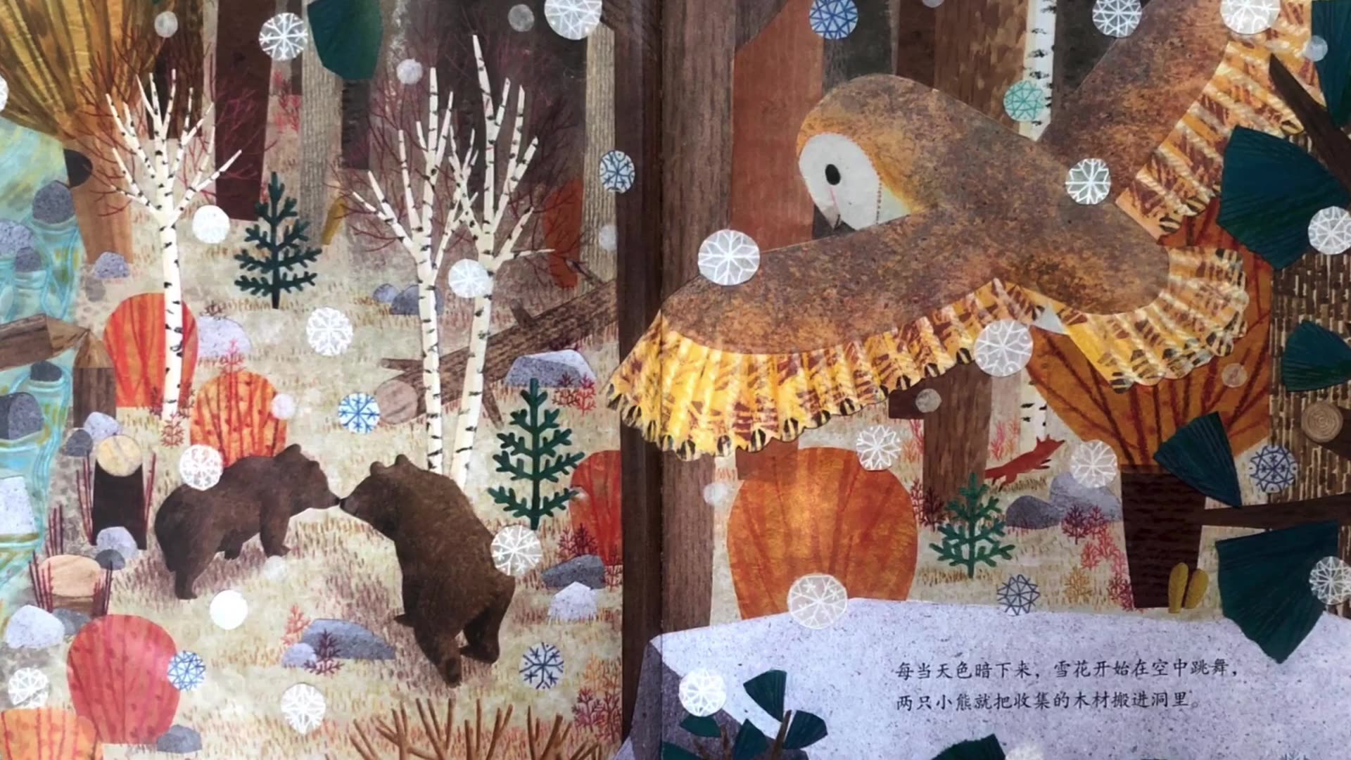 小宇宙绘本电台第二十七期:《大熊的拥抱》丨本期主播:雪儿姐姐