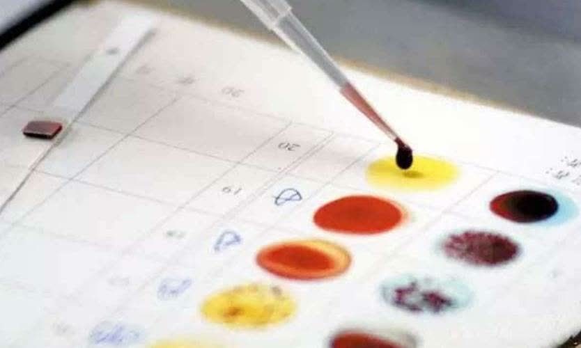 血型能决定寿命长短吗?通过实验,专家:或许是这种血型