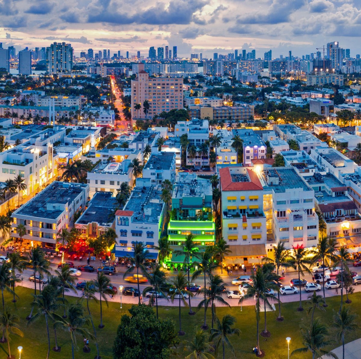 荔枝树下狸拱鹅 