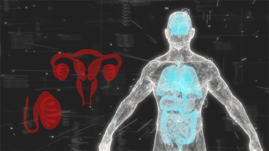 【动画】牛津大学新冠后遗症新发现:病毒或影响大脑和生殖系统