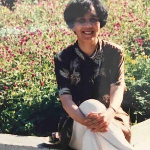 飞花娟 