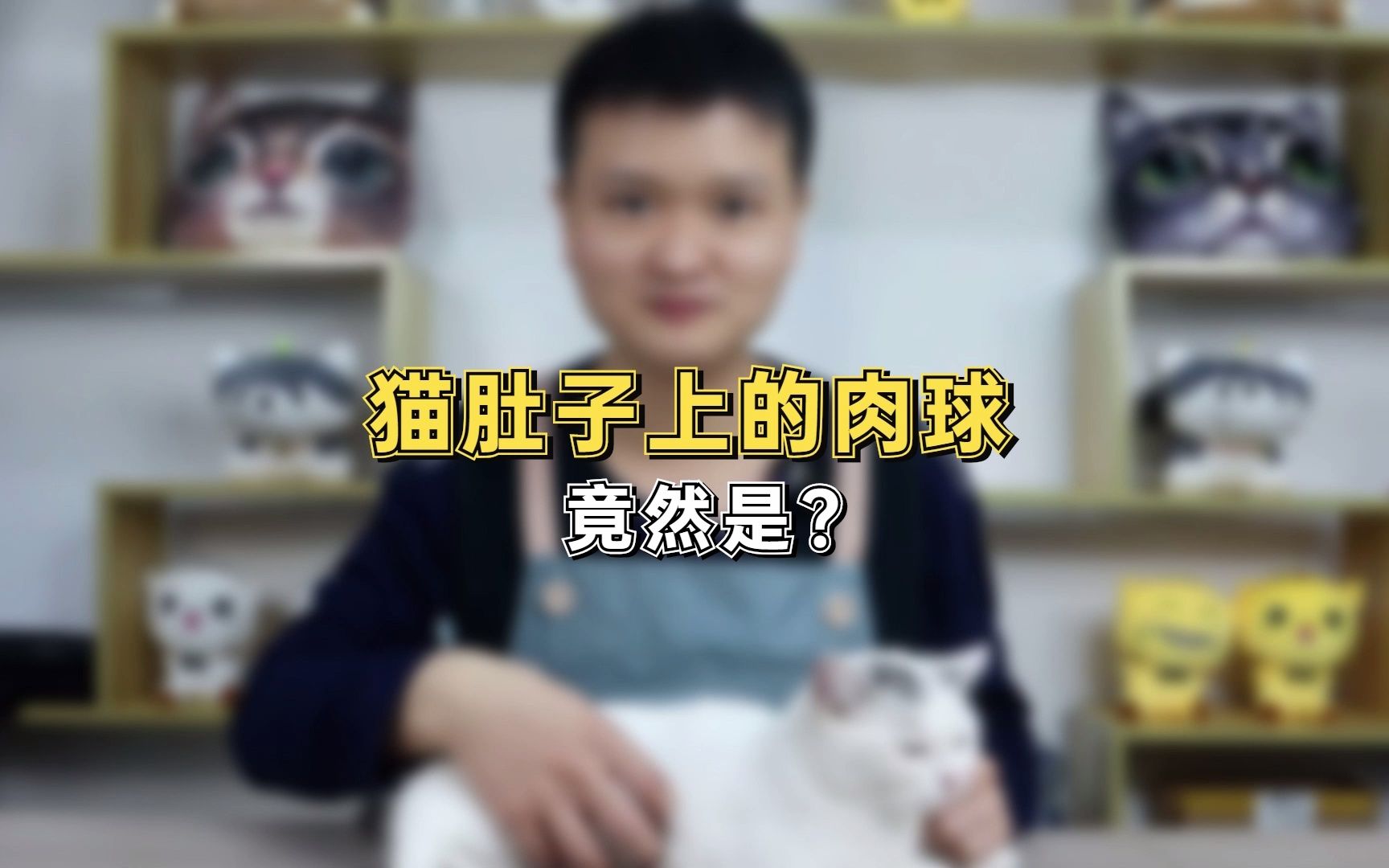 猫肚子上的肉球竟然是?