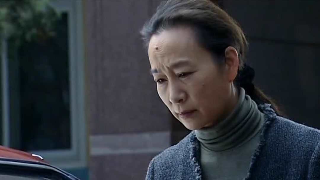 【可怜天下父母心】奚美娟精彩剪辑