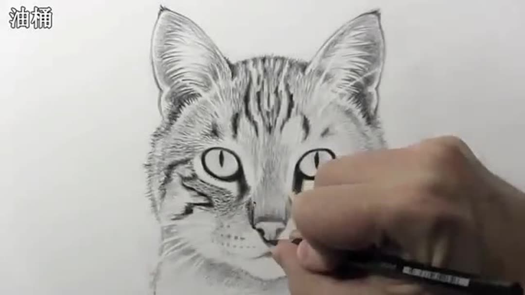 简笔素描教学:2分钟教你画一只猫,很简单!