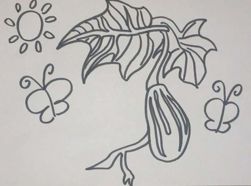 简笔画藤蔓 简单好学