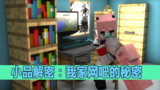 皮卡解说我的世界小品解密之我家网吧的秘密:难道网吧有嘿嘿嘿的事情?