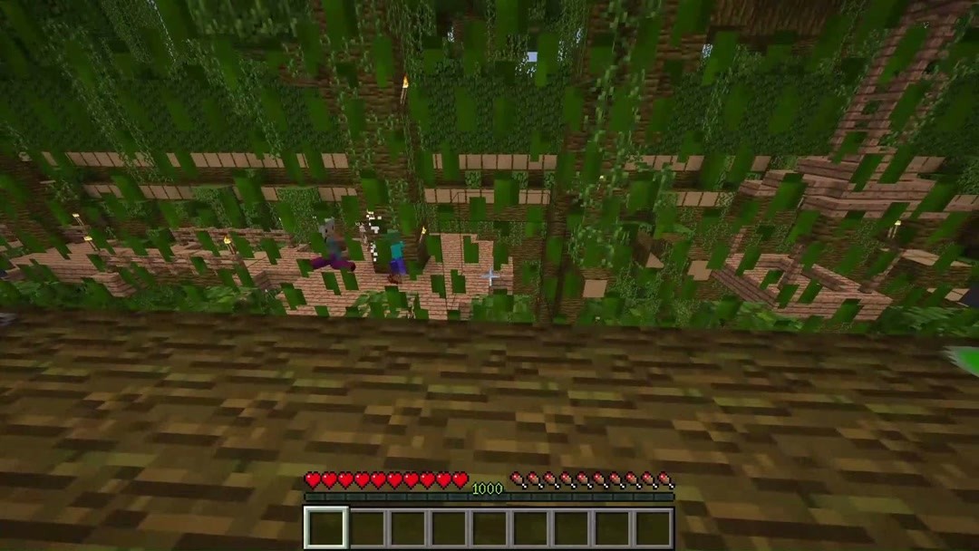 我的世界 躲在绿色帷幕里看小黑