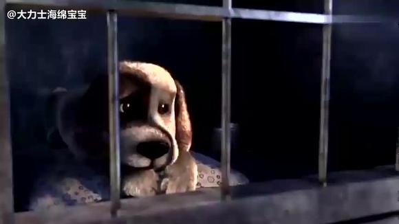 一部超暖心的无声动画:带我回家啊